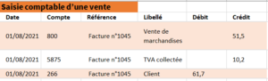 [Saisie comptable] Définition, obligations, étapes et exemples 📒